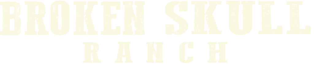 Steve Austin, Broken Skull Ranch