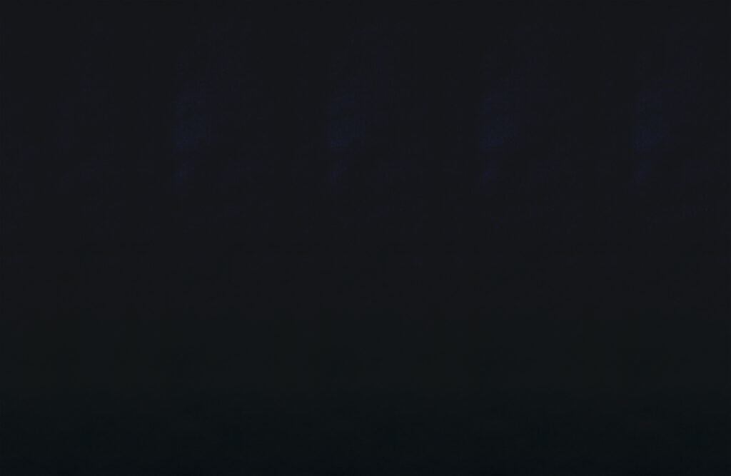 Steve Austin, Broken Skull Ranch