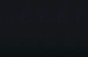 Steve Austin, Broken Skull Ranch