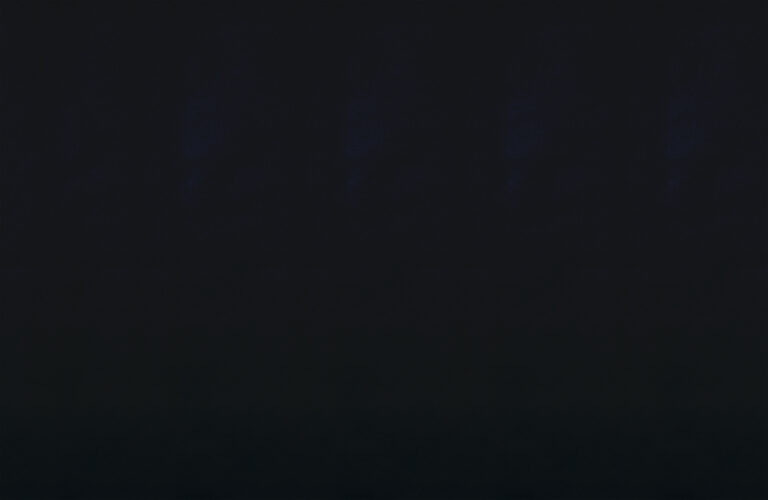 Steve Austin, Broken Skull Ranch